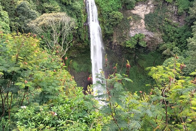 Jakarta Bogor Botanical Garden, Waterfall and Rice terrace, Lunch - The Itinerary Breakdown: What You’ll Experience
