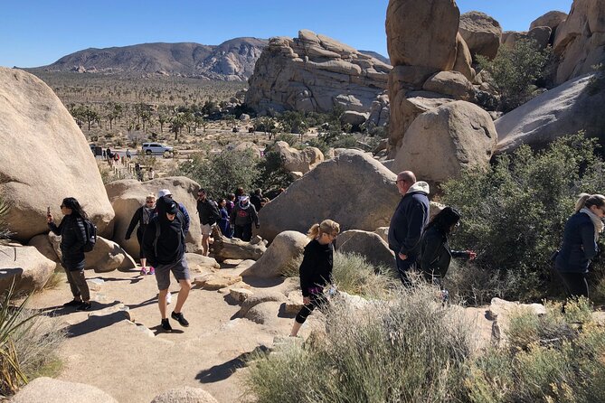 Joshua Tree National Park Driving Tour - What’s Included and What’s Not