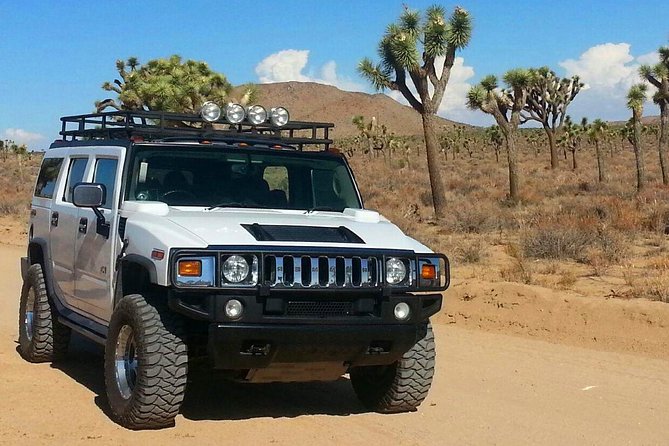 Joshua Tree National Park Scenic Tour - The Sum Up