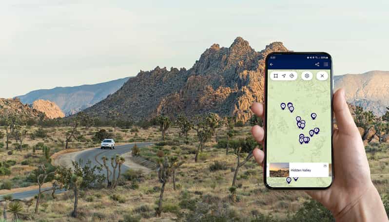 Journey into Joshua Tree: Audio Driving Tour and Local Guide - Who Should Consider This Tour?