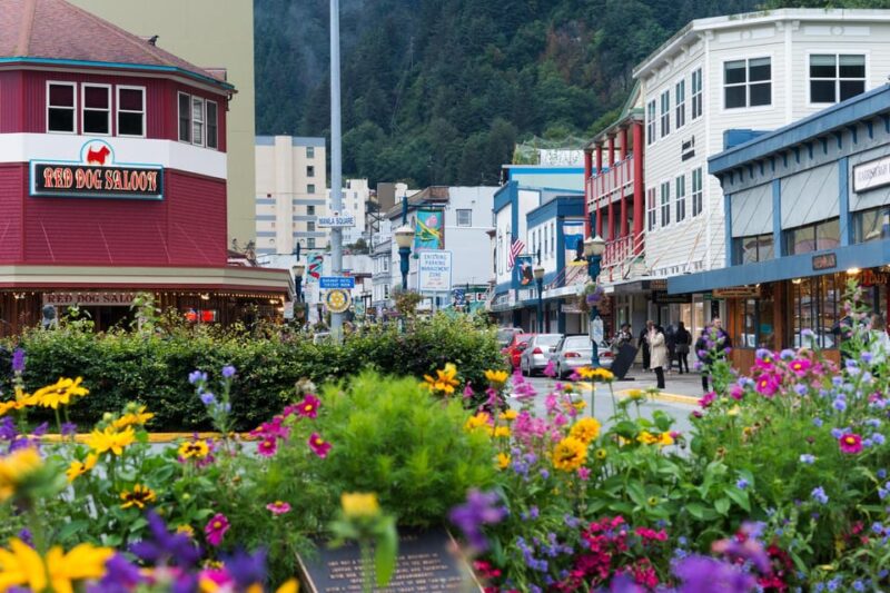 Juneau: City Highlights Bus Tour - The Experience and Its Value