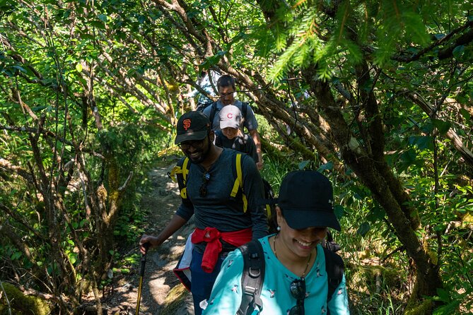 Juneau Shore Excursion: Mendenhall Glacier Guided Hike - Meeting and Pickup Information