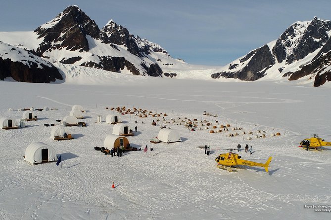 Juneau Shore Excursions: Helicopter Dogsledding Experience and Additional Glacier Landing - Final Thoughts