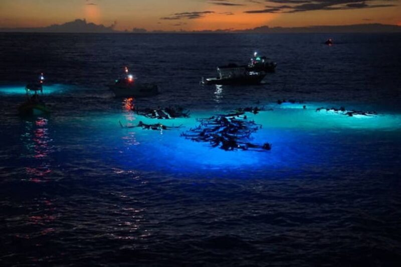 Kailua-Kona: Manta Ray Watching Nighttime Boat Trip - What Makes This Tour Stand Out?