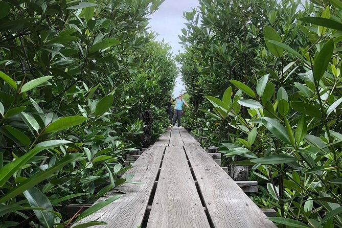 Kampot Countryside Tour - Pepper Farm, Salt Lake, Caves, and more - Who Should Consider This Tour?