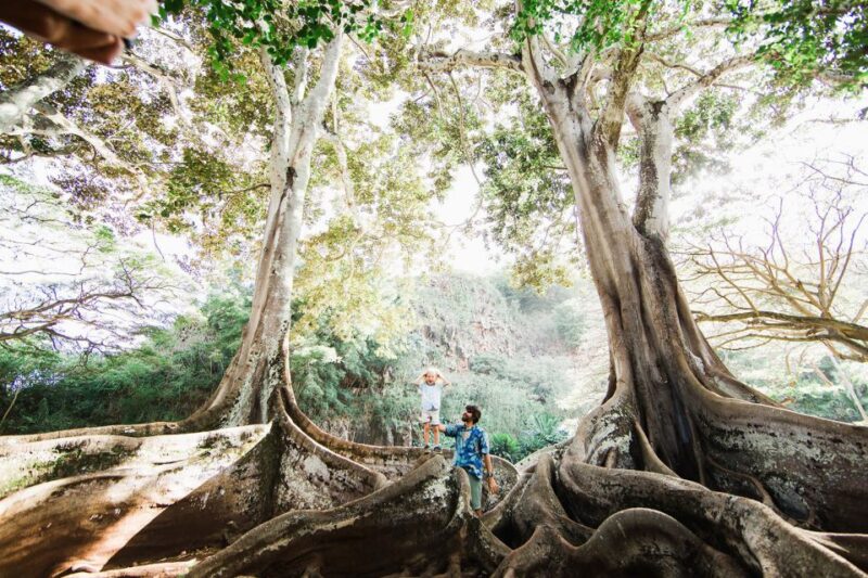 Kauai: Allerton Garden Guided Group Walking Tour - The Films, Flora, and Fun Facts