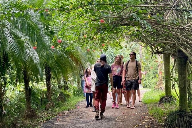 Kauai Chocolate Farm Tasting Tour - Understanding Cacao Growth and Chocolate Production