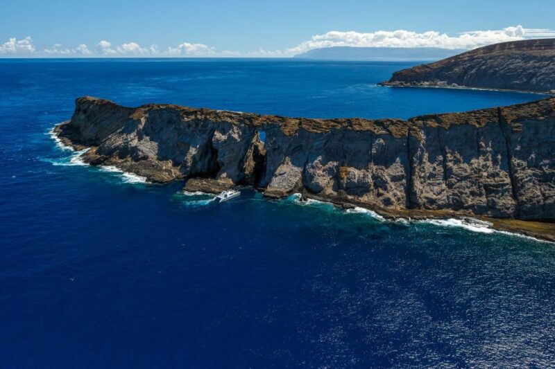 Kauai: Niihau and Na Pali Coast Full-Day Boat Tour - FAQ