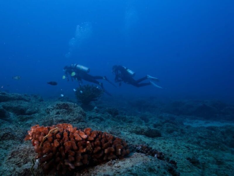 Kauai: Shore Diving at Koloa Landing, Poipu - The Experience: What You Can Expect