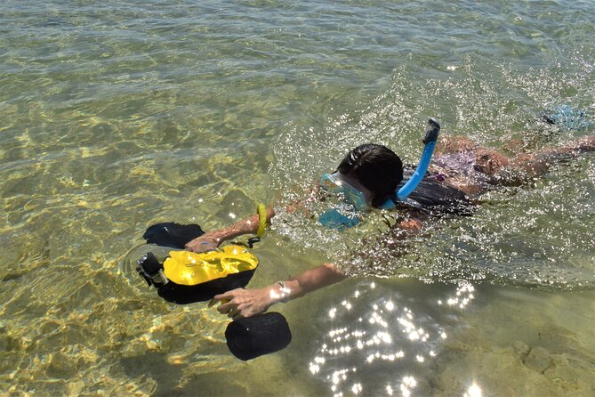 Kauai Snorkeling Adventure - Value for Money and Overall Impressions