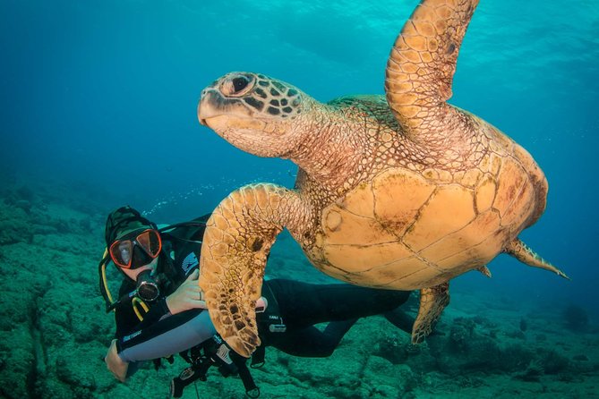 Kauais Ultimate Discover Scuba Dive - OCEAN EXPERIENCE (1 Tank Dive) - Inclusion and Meeting Details