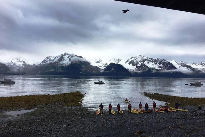 Kayak and Hike to Historic WW2 Army Fort in Alaska! - Wildlife Encounters Along the Way