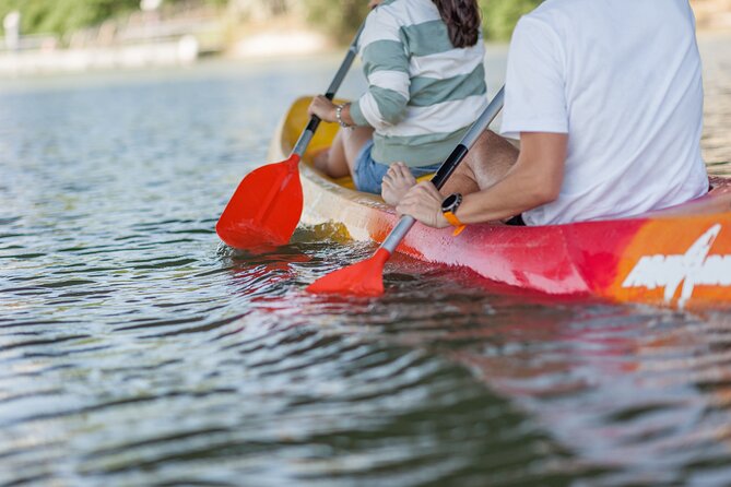 Kayak Guided Tours - Tour Inclusions and Pricing