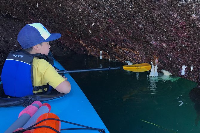 Kayaking in Deception Pass State Park - Gear and Equipment Provided