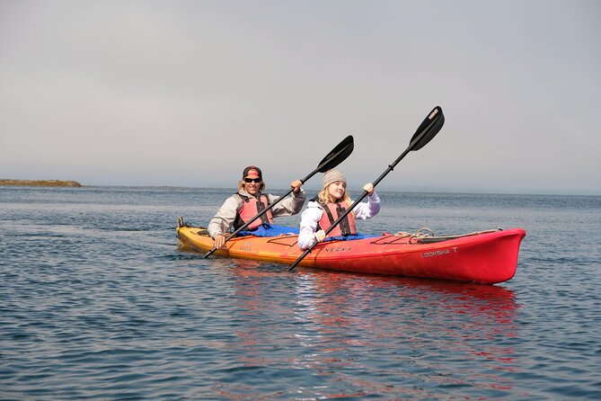 Ketchikan Shore Excursion: Eagle Island Sea Kayaking - The Sum Up: Who Should Consider This Tour?