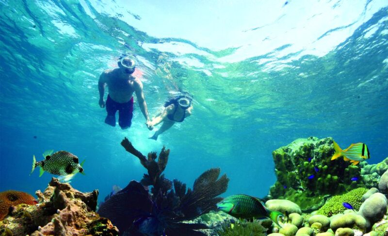 Key West: Dolphin Watching and Snorkeling Eco Cruise Tour - Itinerary Breakdown: What Makes Each Part Special?