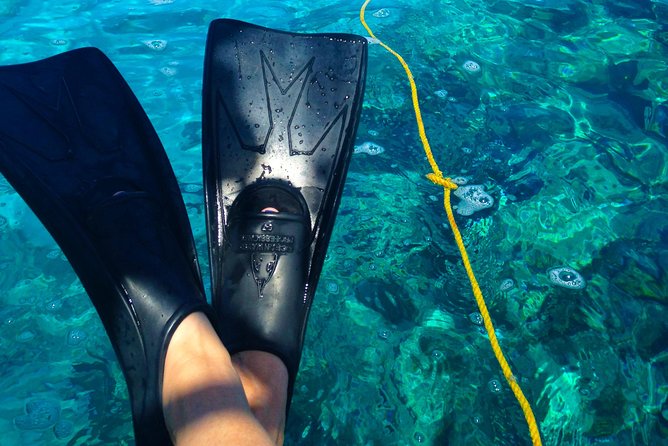 Key West Reef Snorkel & Sail Adventure - The Review Highlights: What Travelers Are Saying