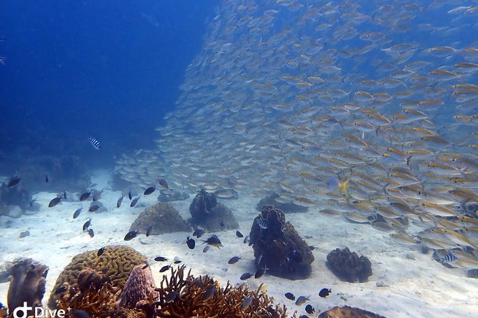 Koh Chang Dive Trip Including 3 Dives (Start at Koh Chang) - Why This Tour Is a Good Deal