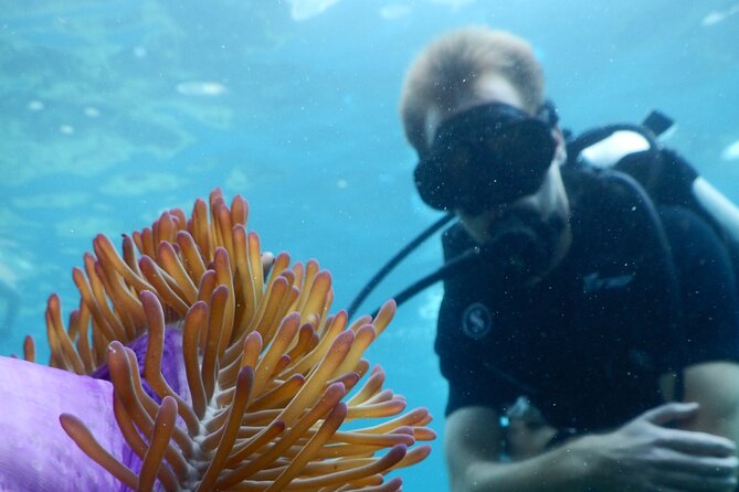 Koh Tao VIP Snorkelling Tour - FAQ