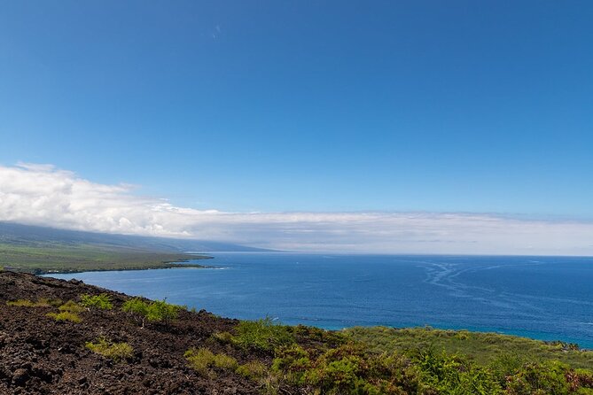Kona Coast Cruise: Snorkel Kealakekua Bay & Dolphin Encounter - The Practicalities: What You Need to Know