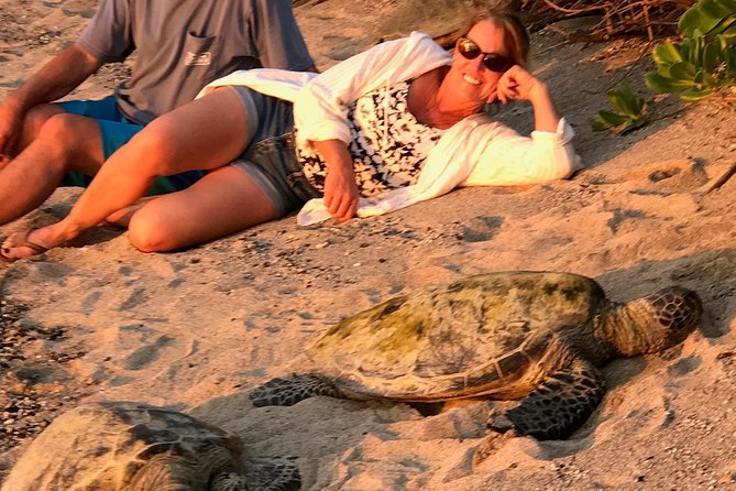 Kona Shore Excursion: Sea Turtles, Historic Kona & Coffee - Final Thoughts