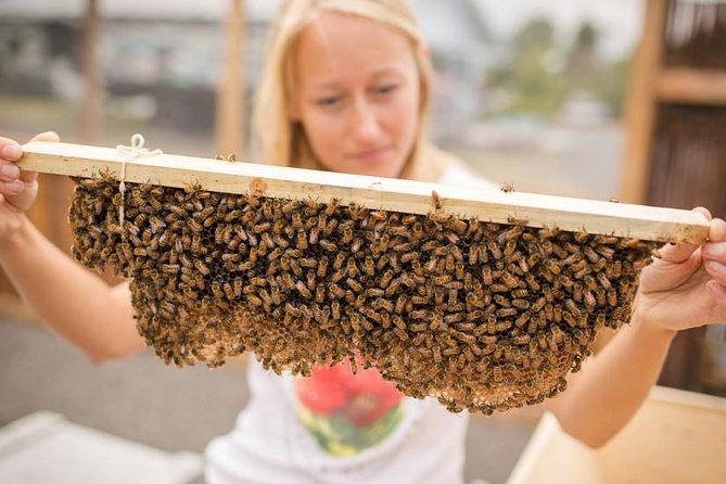 Kona Tour: Bee Farm, Kona Coffee, and National Historical Parks - Itinerary Overview