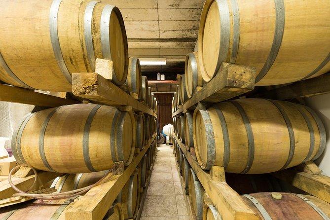 Konavle Wine Tasting Tour From Dubrovnik With 2 Vinerys - Accessibility and Participation