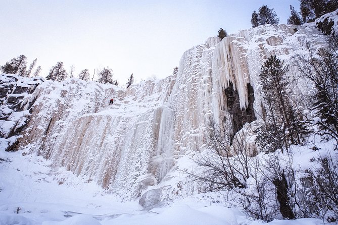 Korouoma National Park & Frozen Waterfalls - Encountering Wildlife in the Winter Wonderland