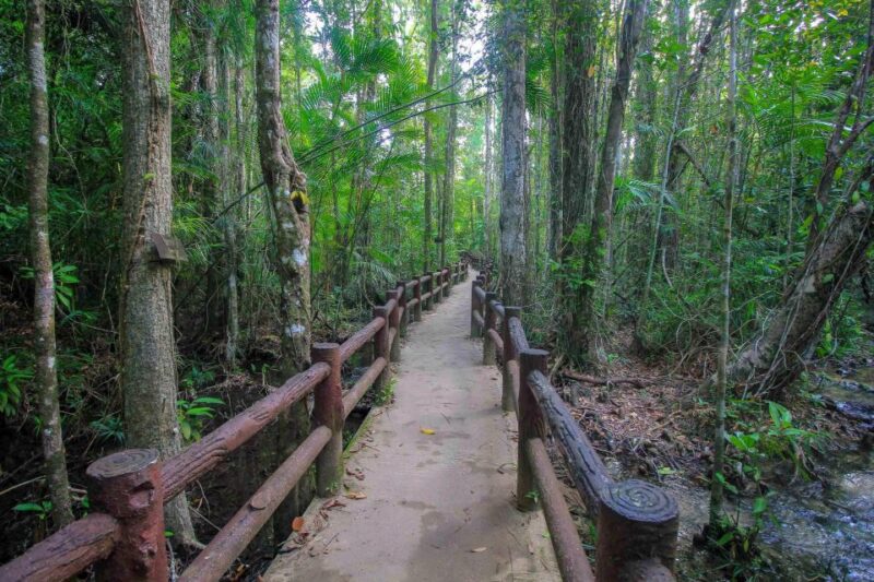 Krabi Outback Explorer with Visit of Tiger Cave Temple - A Detailed Breakdown of the Itinerary
