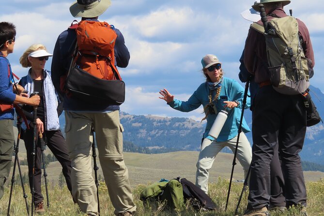 Lamar Valley Safari Hiking Tour With Lunch - Exploring the Wildlife-Rich Lamar Valley