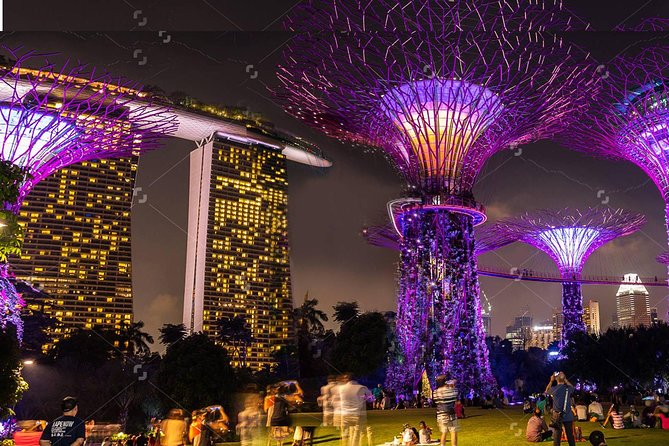 Lion City Night Out + Roundtrip Transfers - The Significance of the Price Point and What You Get