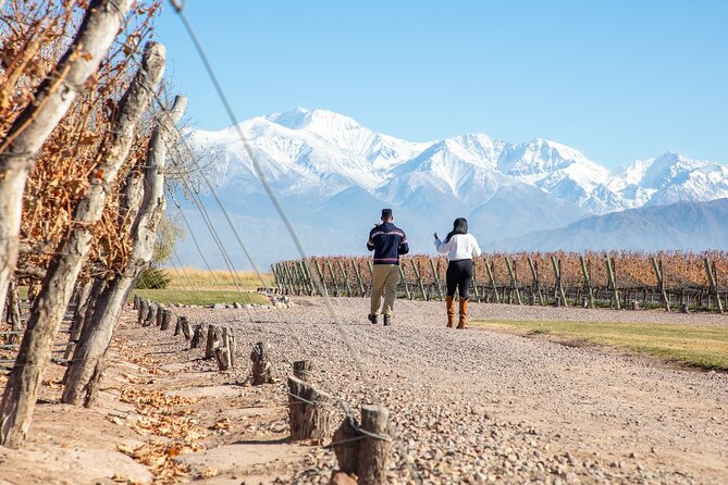 Lujan Deluxe - Full Day - Premium Wine Tour With Gourmet Lunch - Tour Highlights