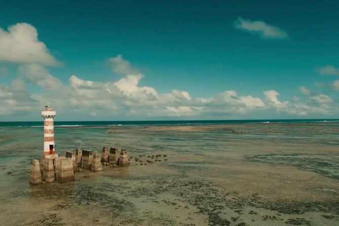 Maceió City Tour With Barra De São Miguel - Leaving Maceió by WS Receptivo - Pickup Information
