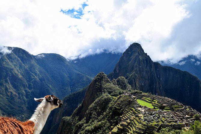 Machu Picchu Official Entrance Ticket - Machu Picchu Reviews and Ratings