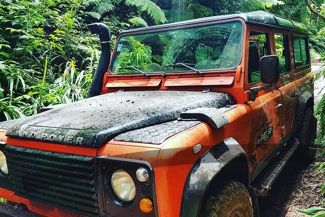 Madeira Jeep 4x4: Old Forest Full-Day Tour Incl Pico Arieiro - Accessibility and Safety