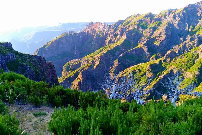 Madeira Top Sunrise - Tour Inclusions and Requirements