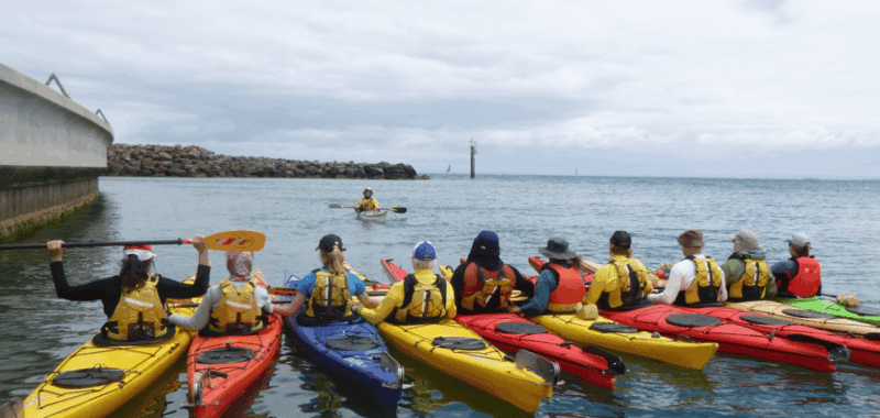 Maine: Penobscot River Guided Kayaking Tour - The Equipment and Logistics