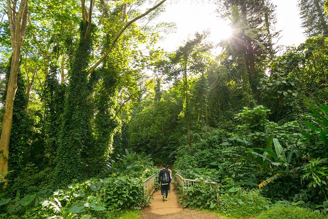 Manoa Waterfall Hike From Waikiki With Healthy Lunch Included - Tour Inclusions and Logistics