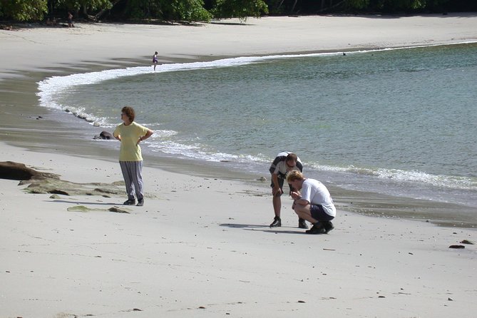 Manuel Antonio National Park Full Day Tour From San Jose - Itinerary Overview