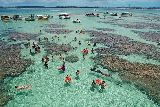 Maragogi / Alagoas Caribbean Brazilian - Tour Details