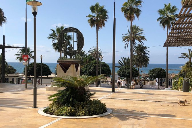 Marbella Old Town Group Tour With a True Local - Meeting and Transportation Information