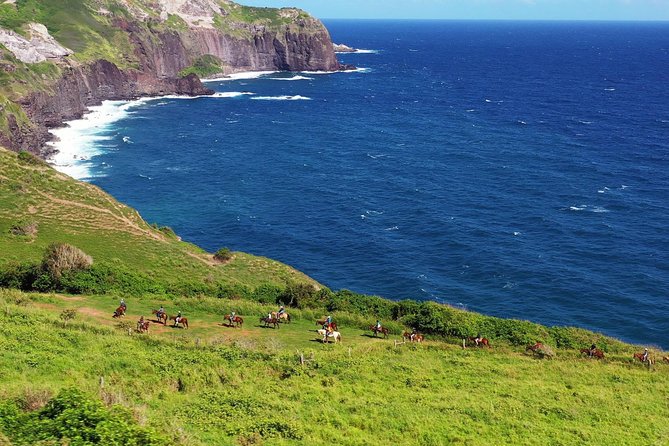 Maui Horseback Adventure at Circle M Ranch With Real Cowboys - The Sum Up