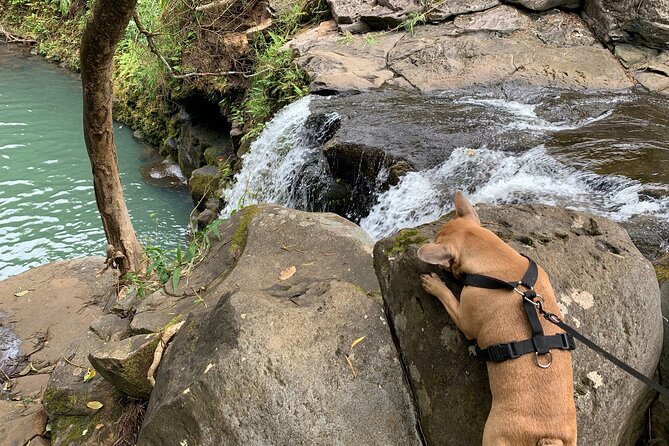 Maui Magical Waterfall and Jungle Tour: Road to Hana - Main Attractions