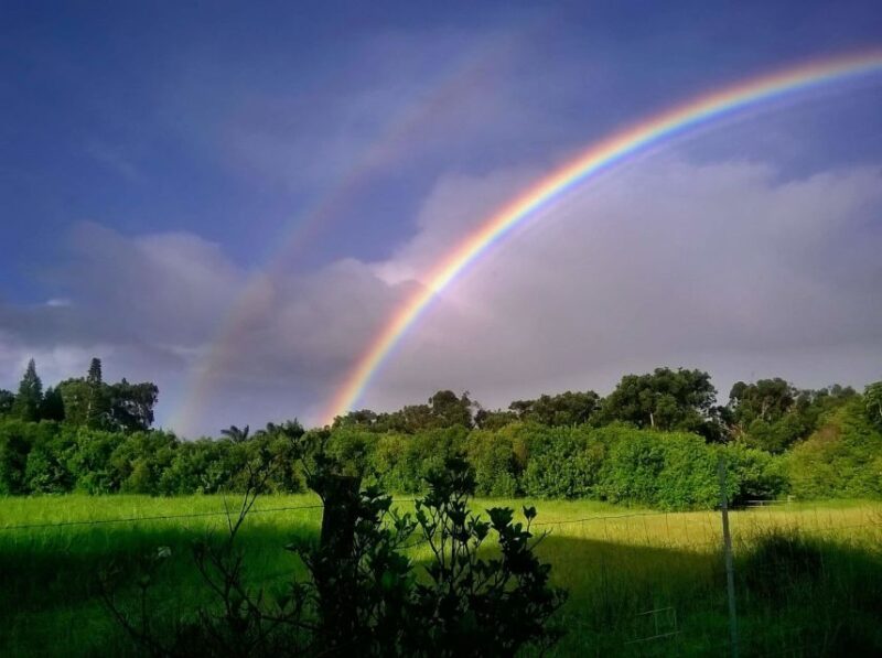 Maui: Private Guided Round-Trip Excursion to Hana - Who This Tour Is Best For