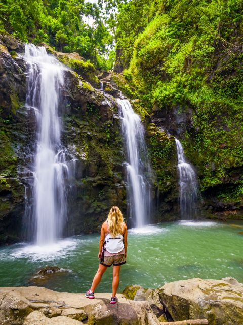 Maui Tropical Rainforest Eco Tour with Lunch - The Itinerary in Detail: What Youll Experience