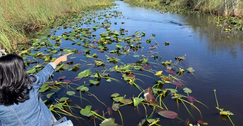 Miami: Everglades Airboat, Photo & Gator Experience - The Itinerary in Detail