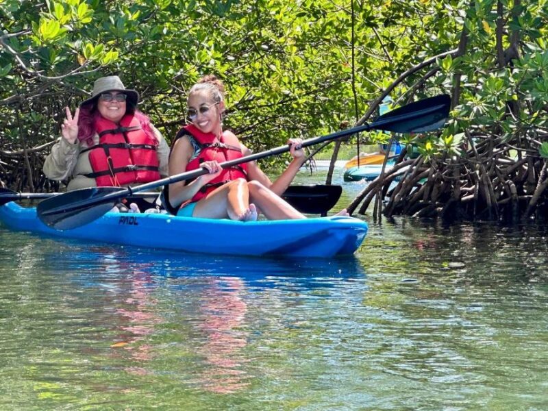 Miami: Paddle Board or Kayak Rental in Virginia Key - What’s Included and What’s Not