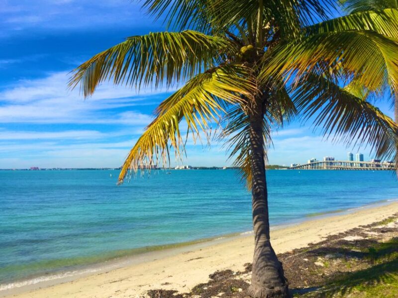 Miami: Windsurfing for Beginners and Experts - The Itinerary and What to Expect