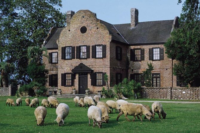 Middleton Place Plantation - 3 Hour Guided Tour - Hotel Pickup - Meet Your Guide: Mike