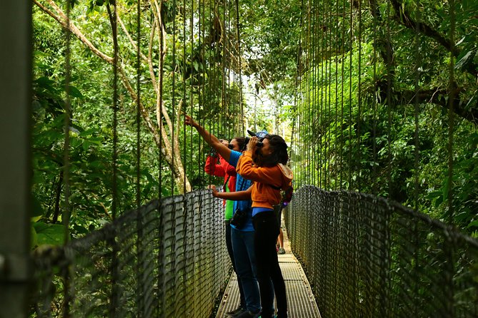 Mistico Hanging Bridges Park From La Fortuna - Encountering Diverse Wildlife